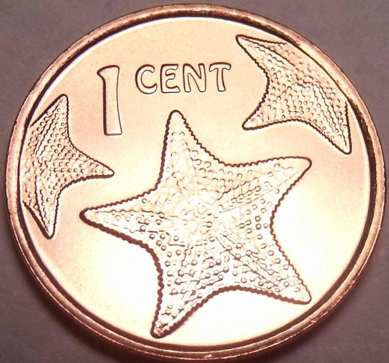 Gem Unc Bahamas 2014 1 Cent~Starfish Coin~We Have Gem Coins For ...